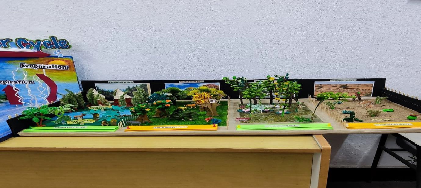 Social Studies Lab Equipment at Oscar Godson blog